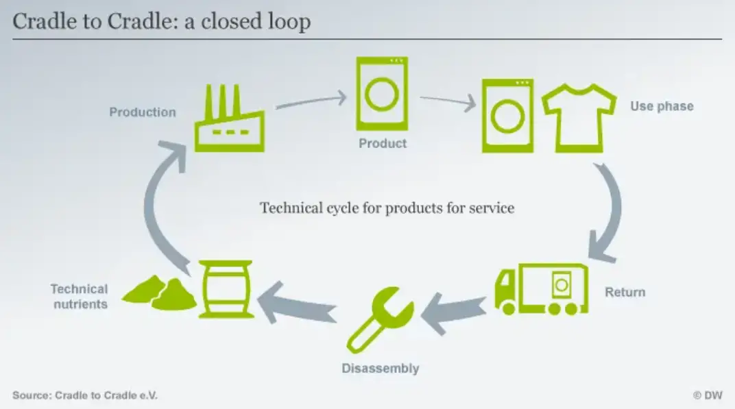Zero waste: importance and 5 easy steps to start - EcoWut
