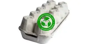 Are Egg Cartons Recyclable? A Quick Guide - EcoWut