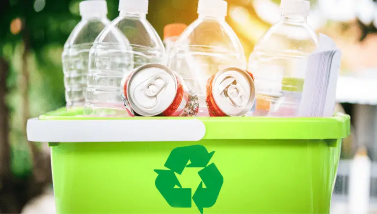 How to Properly Store Trash and Recyclables: Expert Tips and Guidelines ...